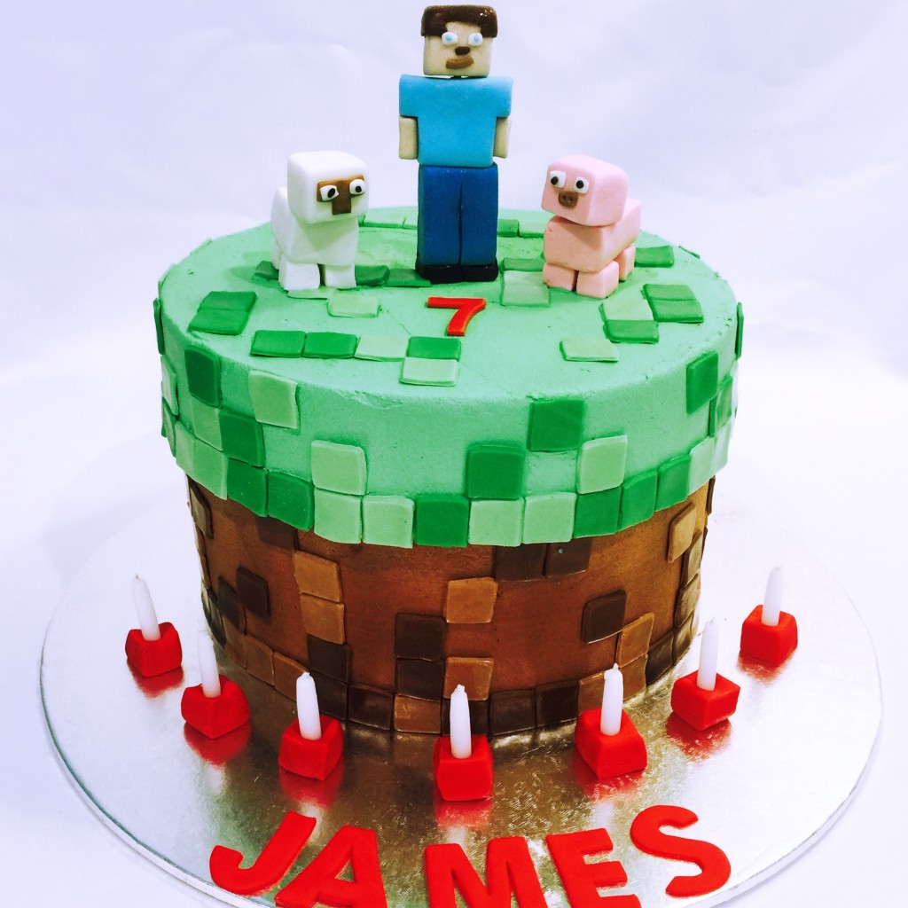 Minecraft Round Cake 1Tier 40serves - The Party Room For Kids